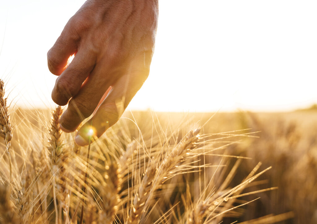 Los Grobo llegó a Bolívar - Los Grobo Agropecuaria